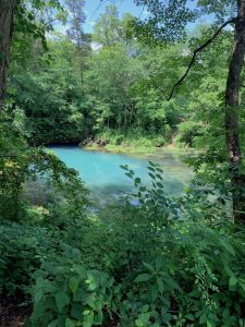 Trips to See Blue and Round Springs - The Accidental Ozarkian